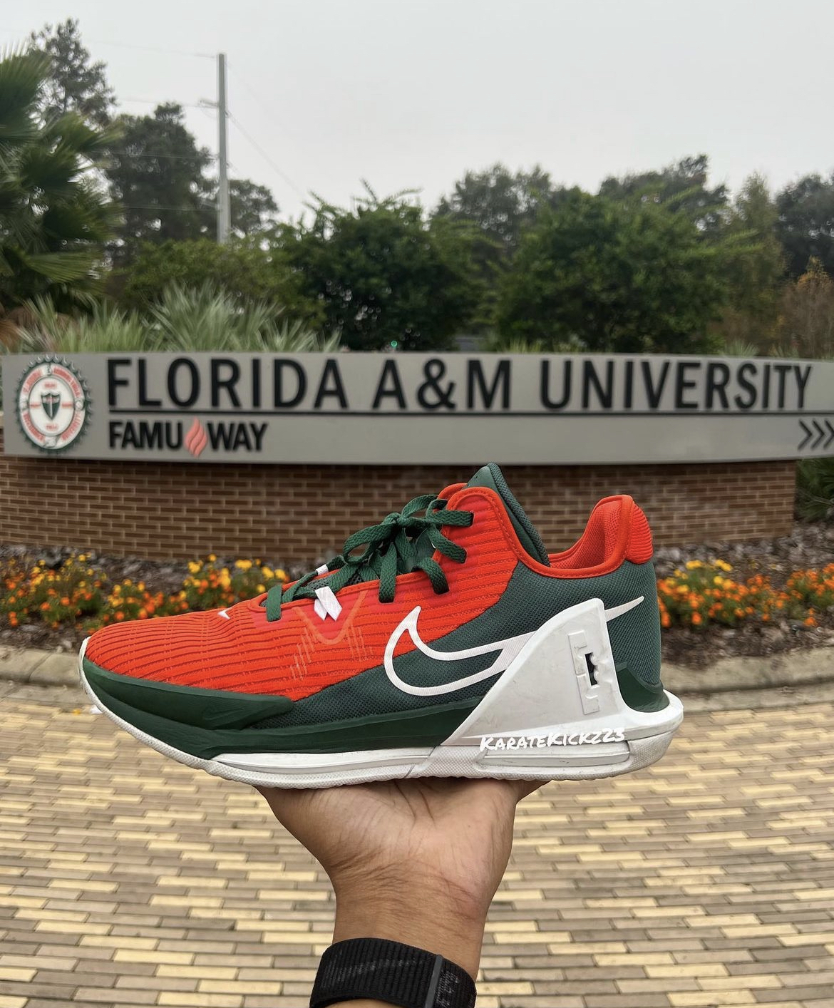 LeBron Witness 6 "Florida A&M" Away - Retro Brons