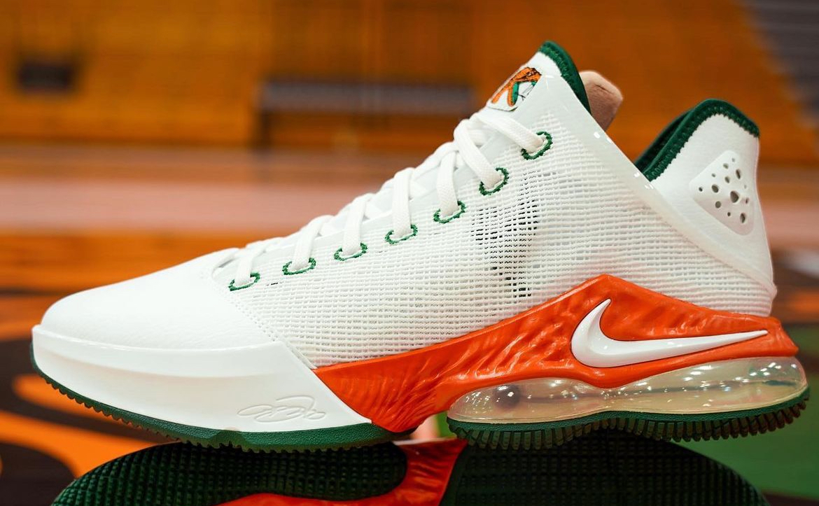 LeBron 19 Low "Florida A&M" Home PE - Retro Brons