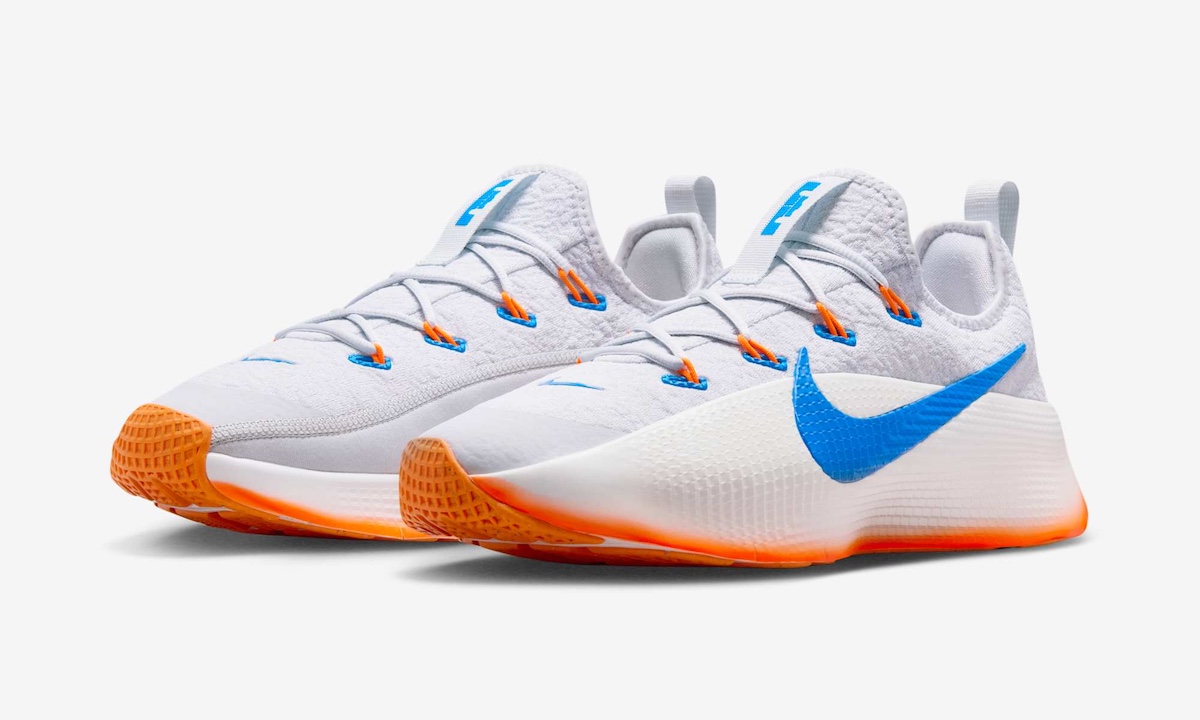 Nike LeBron TR 1 FJ6151-005 - Retro Brons
